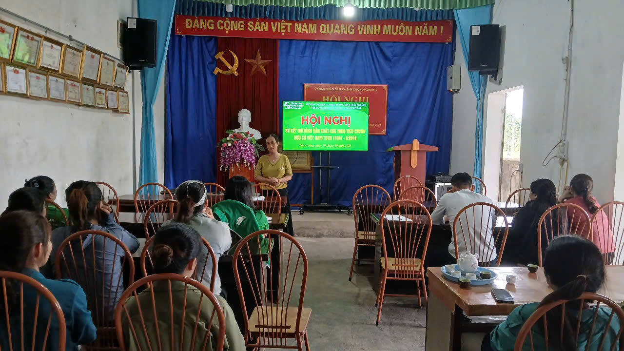 Sơ kết mô hình sản xuất chè theo tiêu chuẩn hữu cơ Việt Nam TCVN 11041 ...