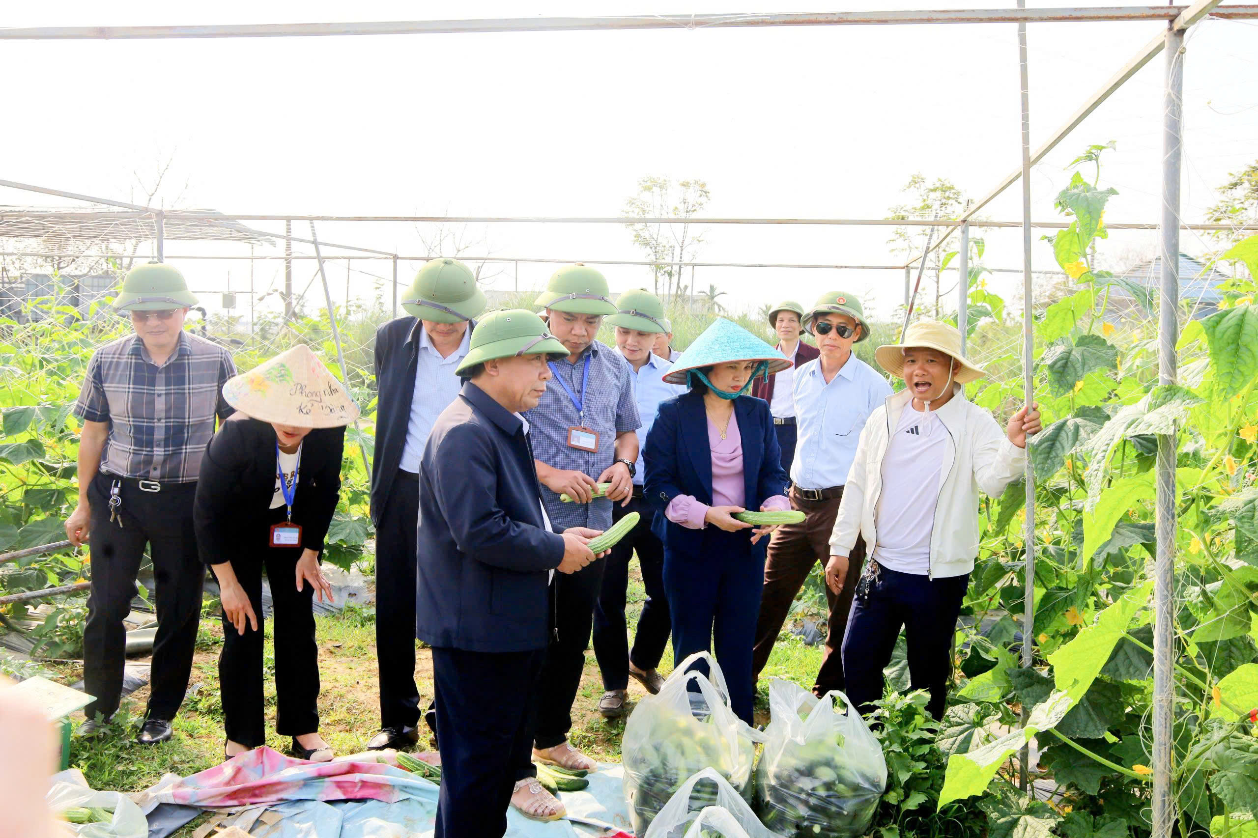 Phó Chủ tịch UBND tỉnh Nguyễn Văn Đệ kiểm tra tình hình sản xuất nông ...